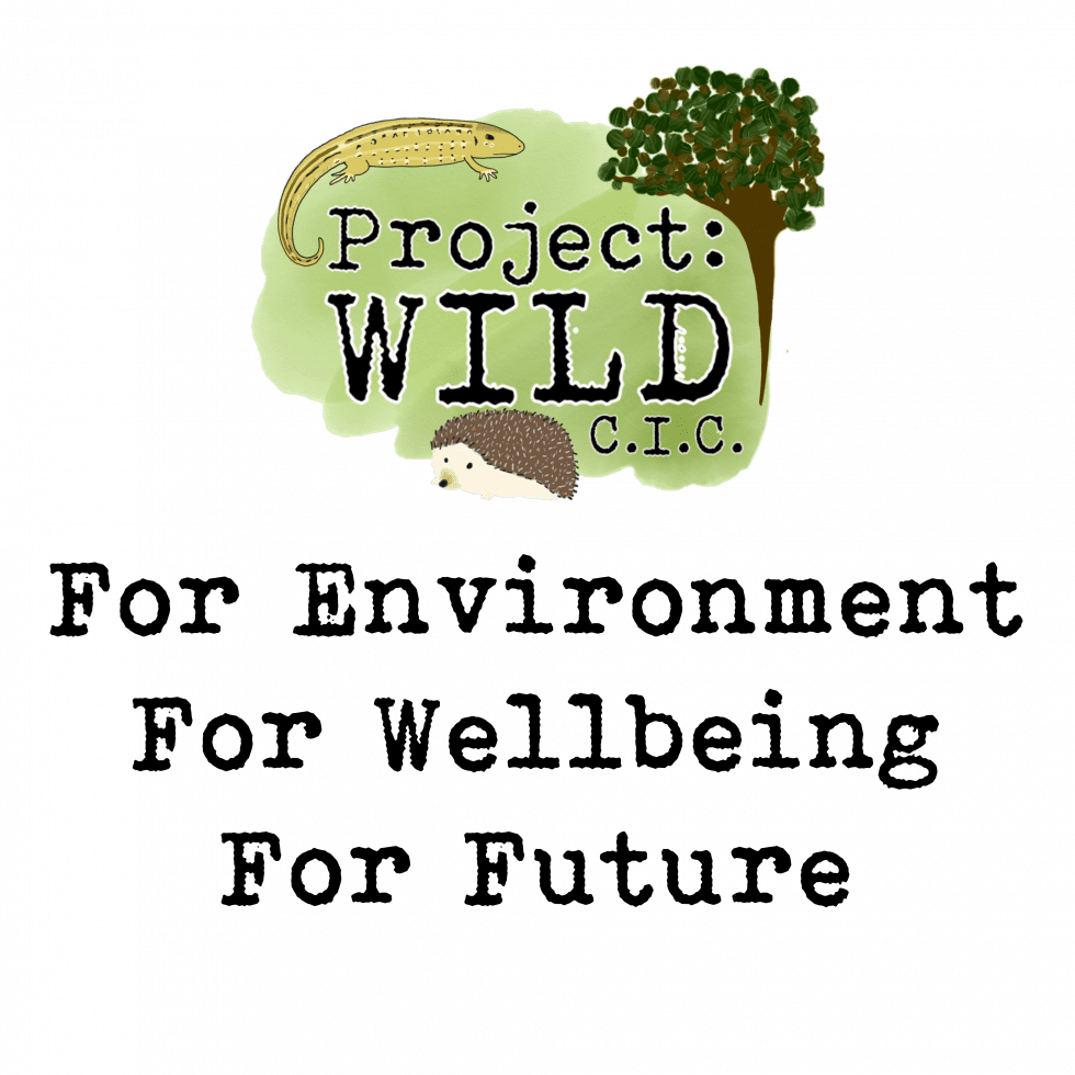 About Us | Project: Wild C.I.C